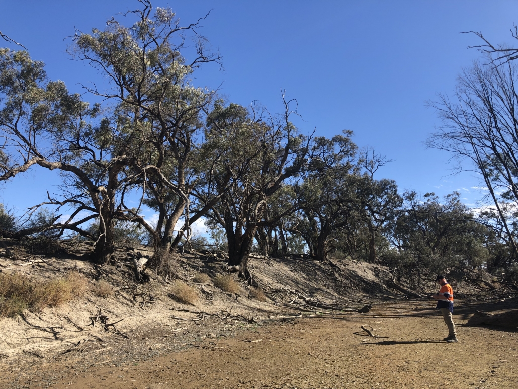 EES/ER technical studies under way across all VMFRP sites - VMFRP