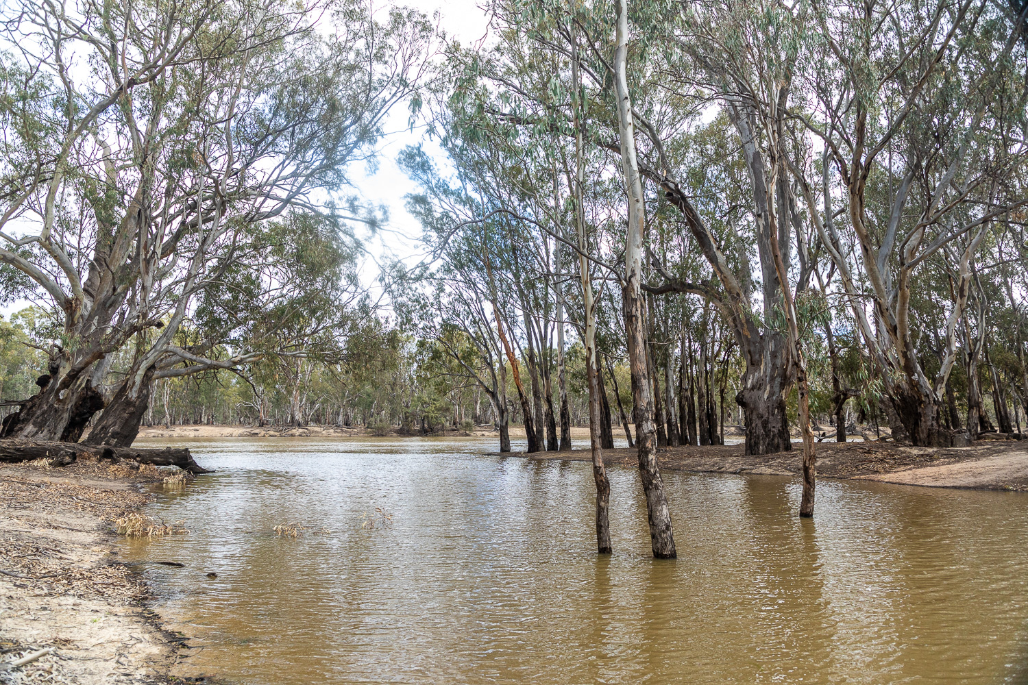 Belsar-Yungera and Hattah Lakes North Environment Effects Statement ...
